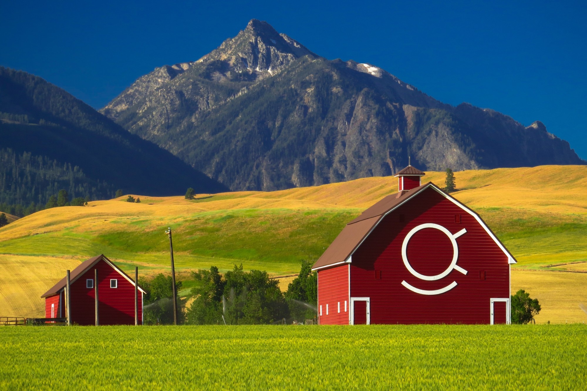 9 Most Profitable Agricultural Business Ideas In 2020 EPub Zone 9 Most Profitable Agricultural Business Ideas In 2020 EPub Zone